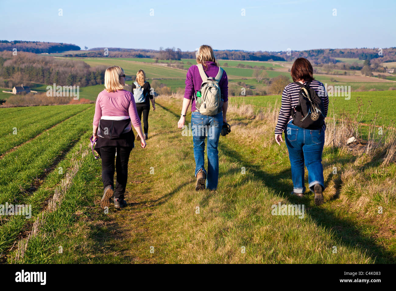 Four women, female friends, walking in the Cotswold countryside near ...