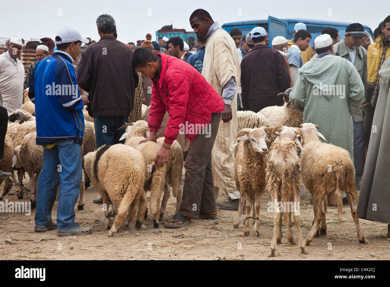 Traditional berber market hi-res stock photography and images - Alamy