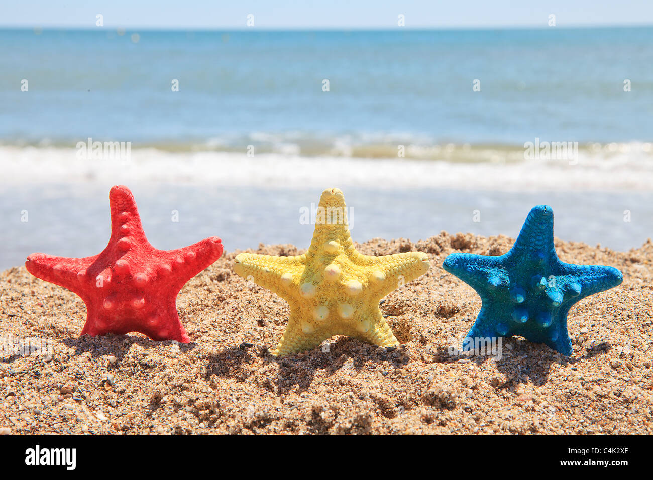 Three colorful starfish in closeup on the beach Stock Photo - Alamy