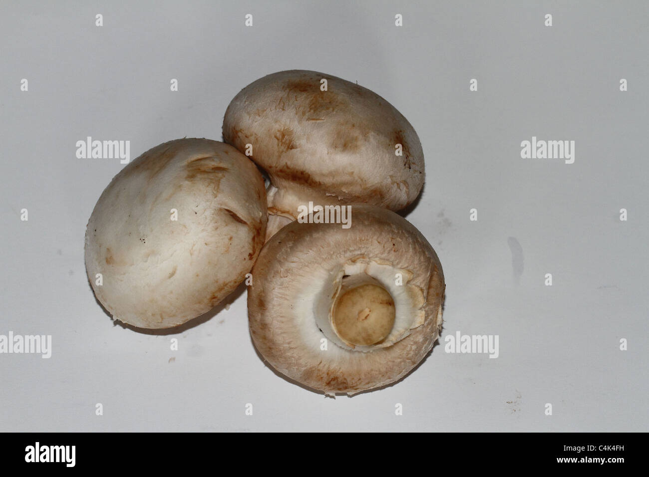 edible button mushrooms Stock Photo - Alamy