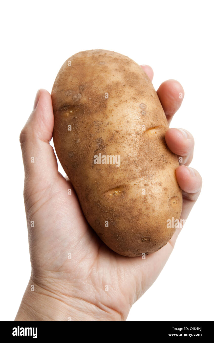 Russet Potato with white background Stock Photo - Alamy