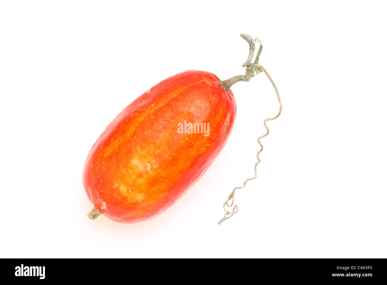 Red gourd on an white background Stock Photo - Alamy