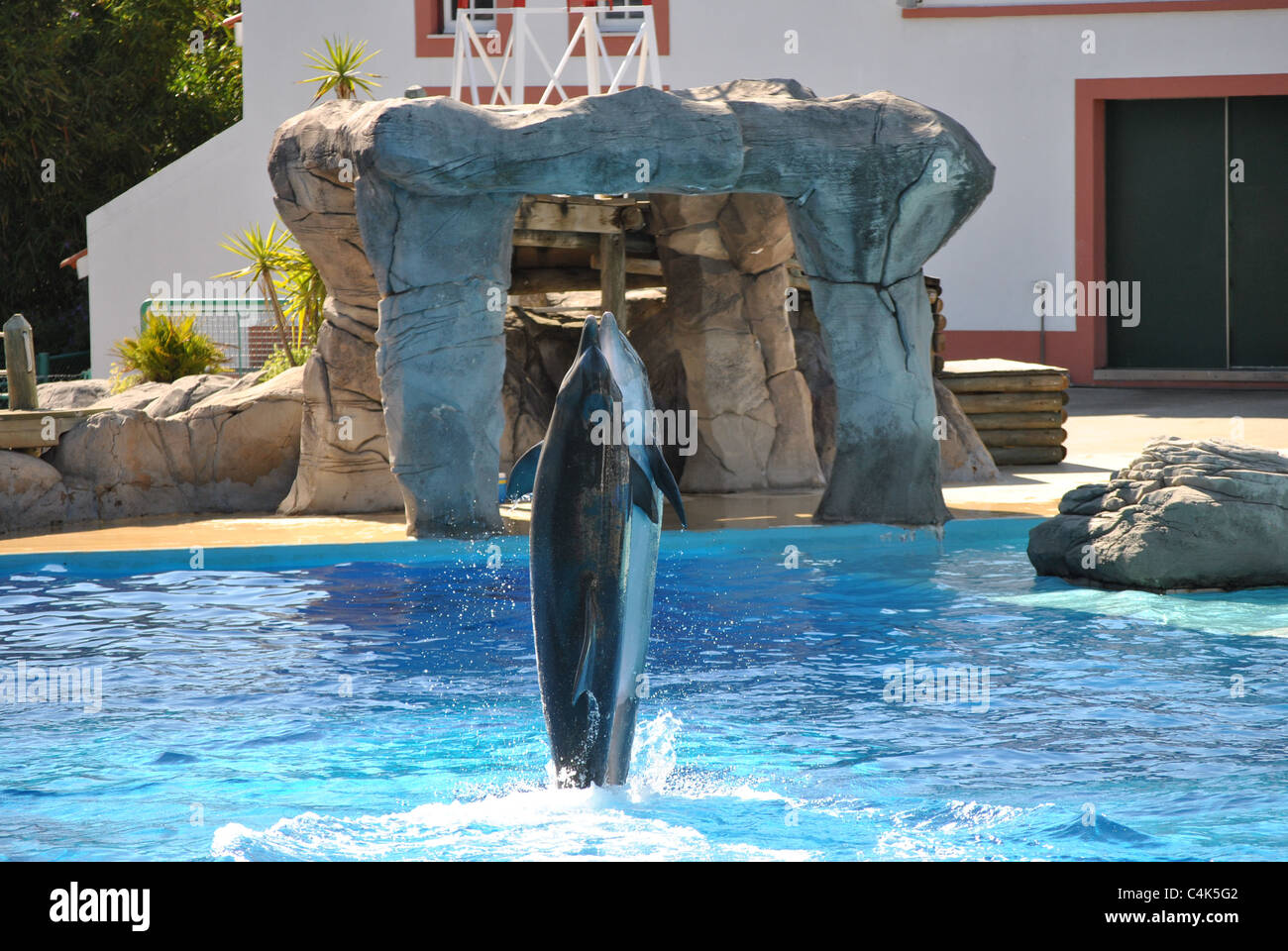 Portugal Zoo High Resolution Stock Photography and Images - Alamy