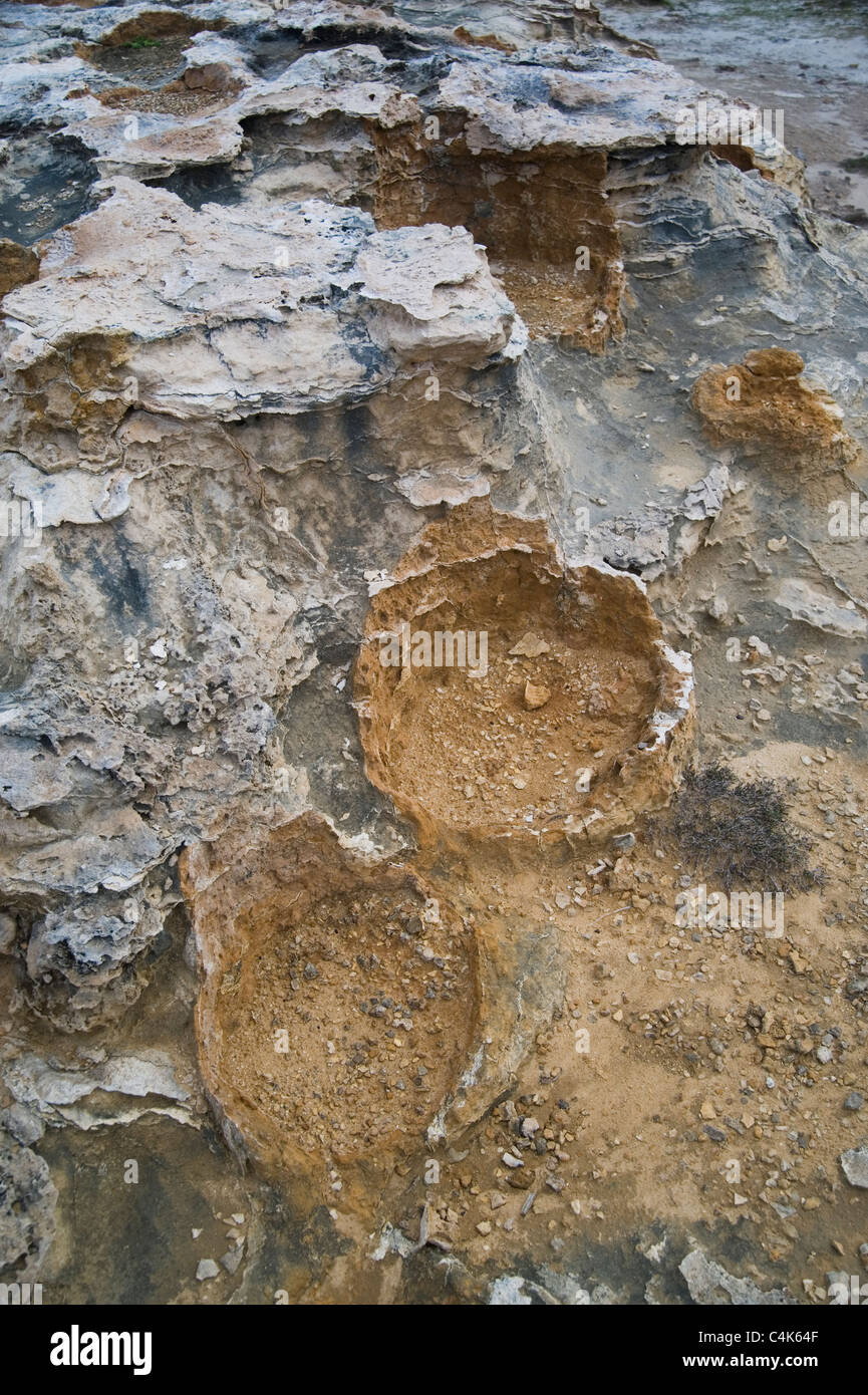 Cyanobacteria fossil hi-res stock photography and images - Alamy