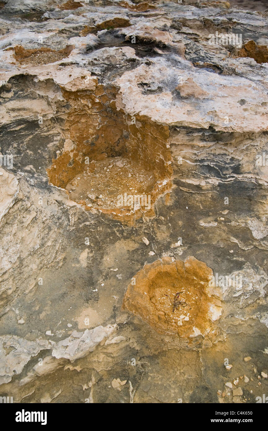 Cyanobacteria fossil hi-res stock photography and images - Alamy