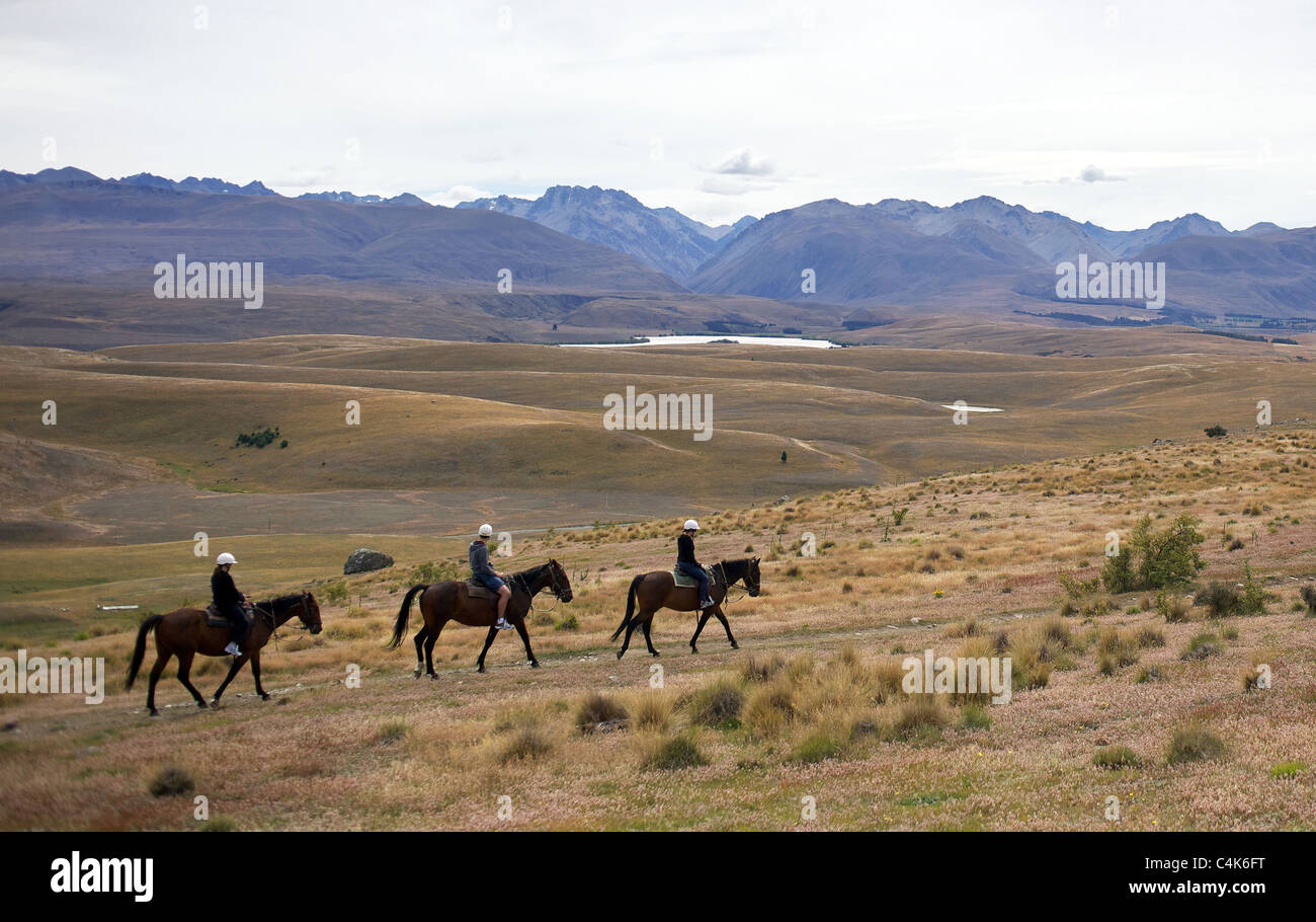 Horse trekking new zealand hi-res stock photography and images - Alamy