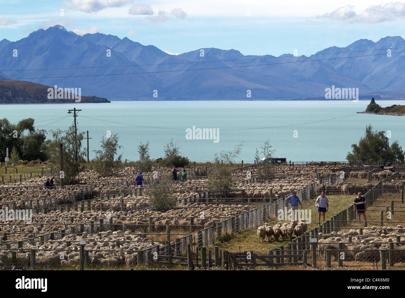 Maori children new zealand hi-res stock photography and images - Alamy