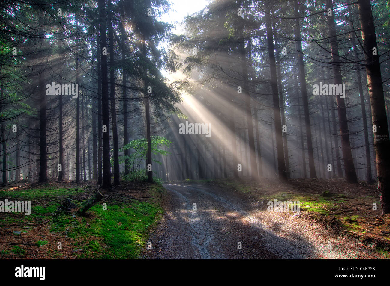 God beam hi-res stock photography and images - Alamy