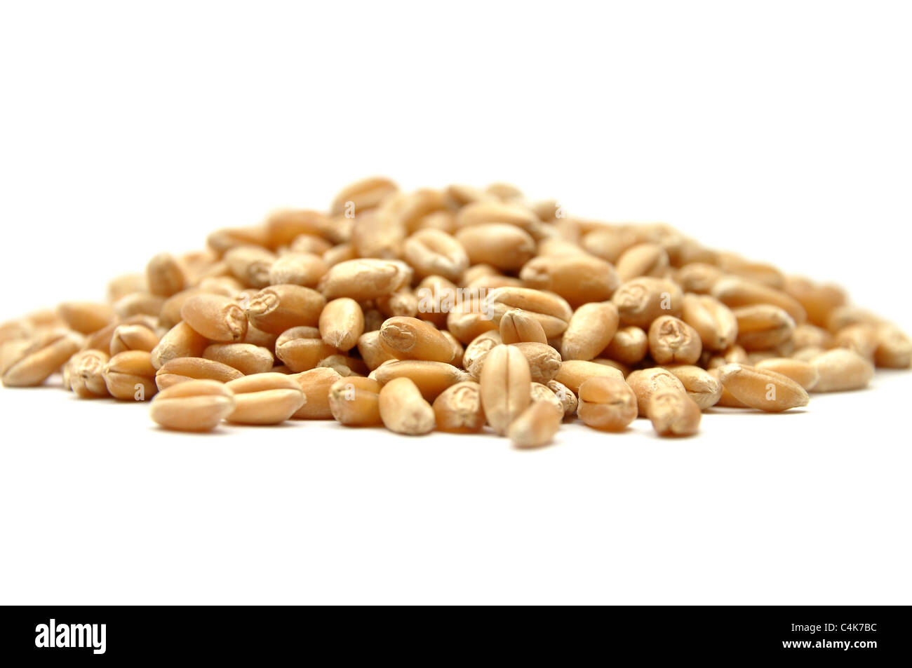 Detailed but simple image of wheat crop Stock Photo - Alamy