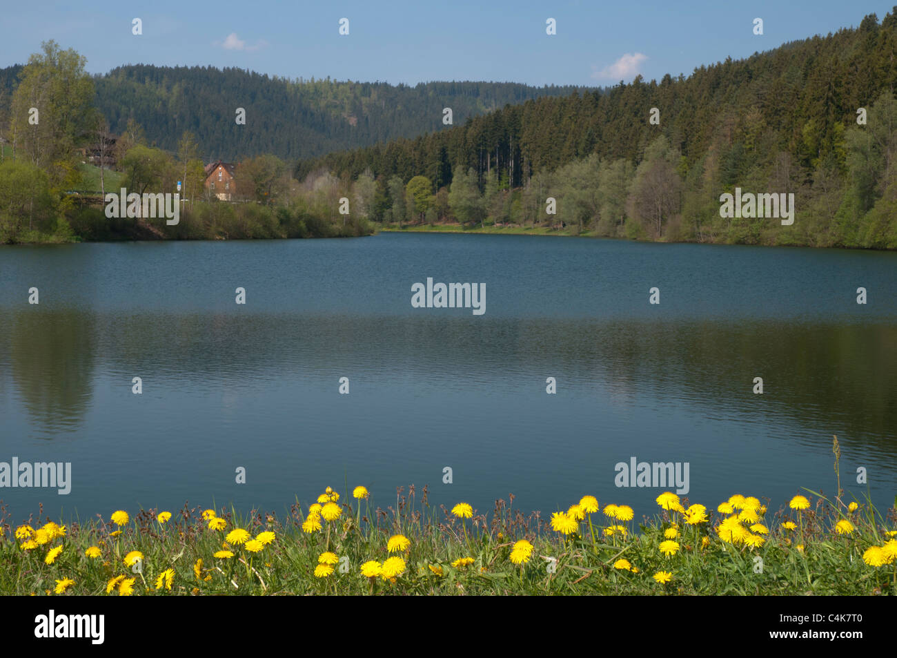 Nagold dam, Black Forest, Baden-Wuerttemberg, Germany, Europe Stock ...