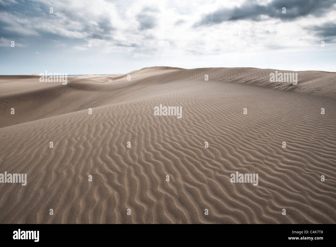 Desertification hi-res stock photography and images - Alamy
