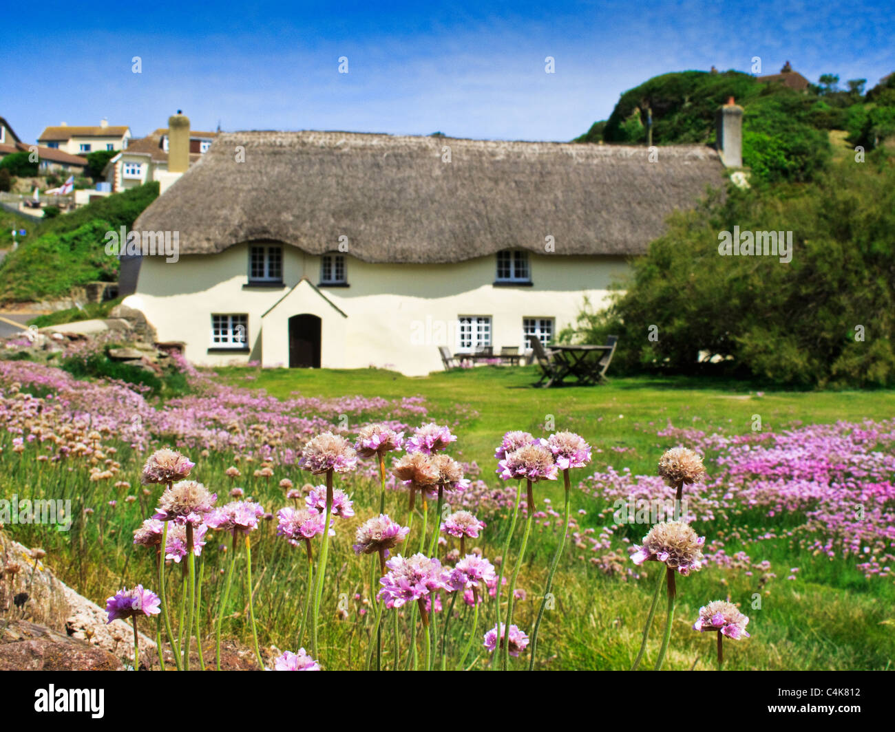 Devon activities hi-res stock photography and images - Alamy