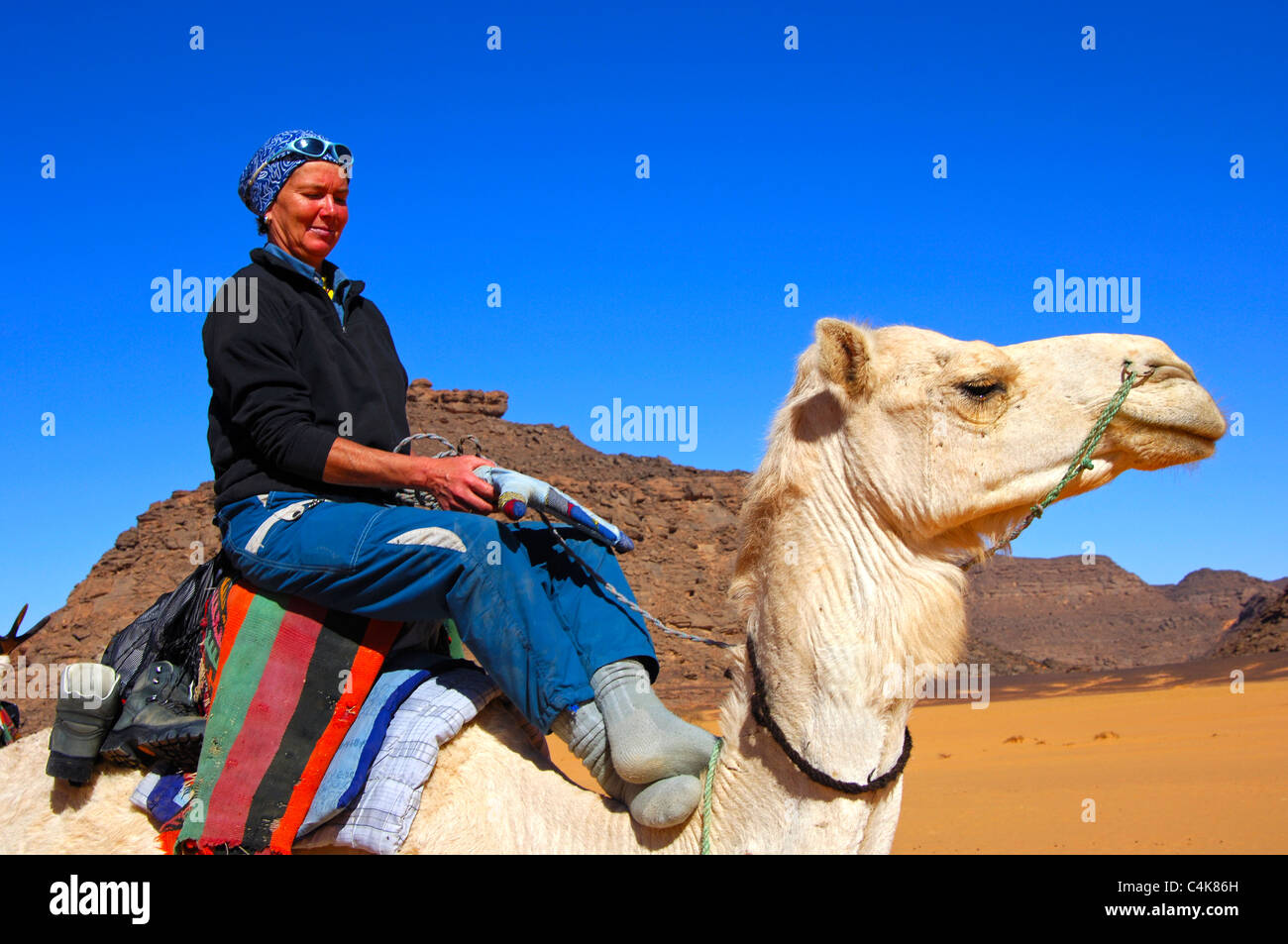 Tourist riding in a Touareg saddle on a white Mehari riding dromedary ...