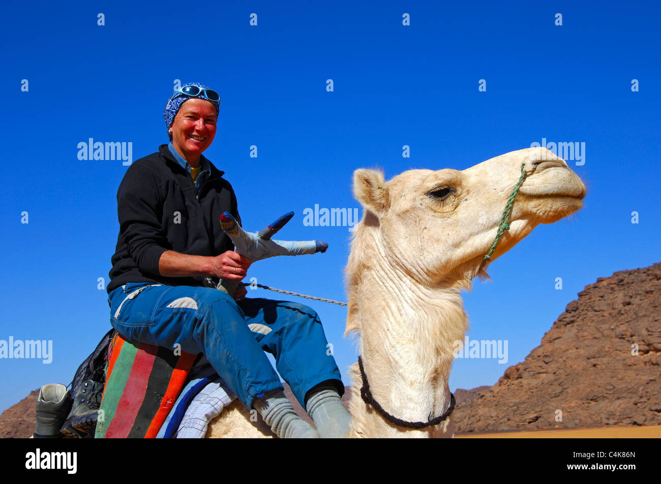 Libya tuareg camel africa desert hi-res stock photography and images ...