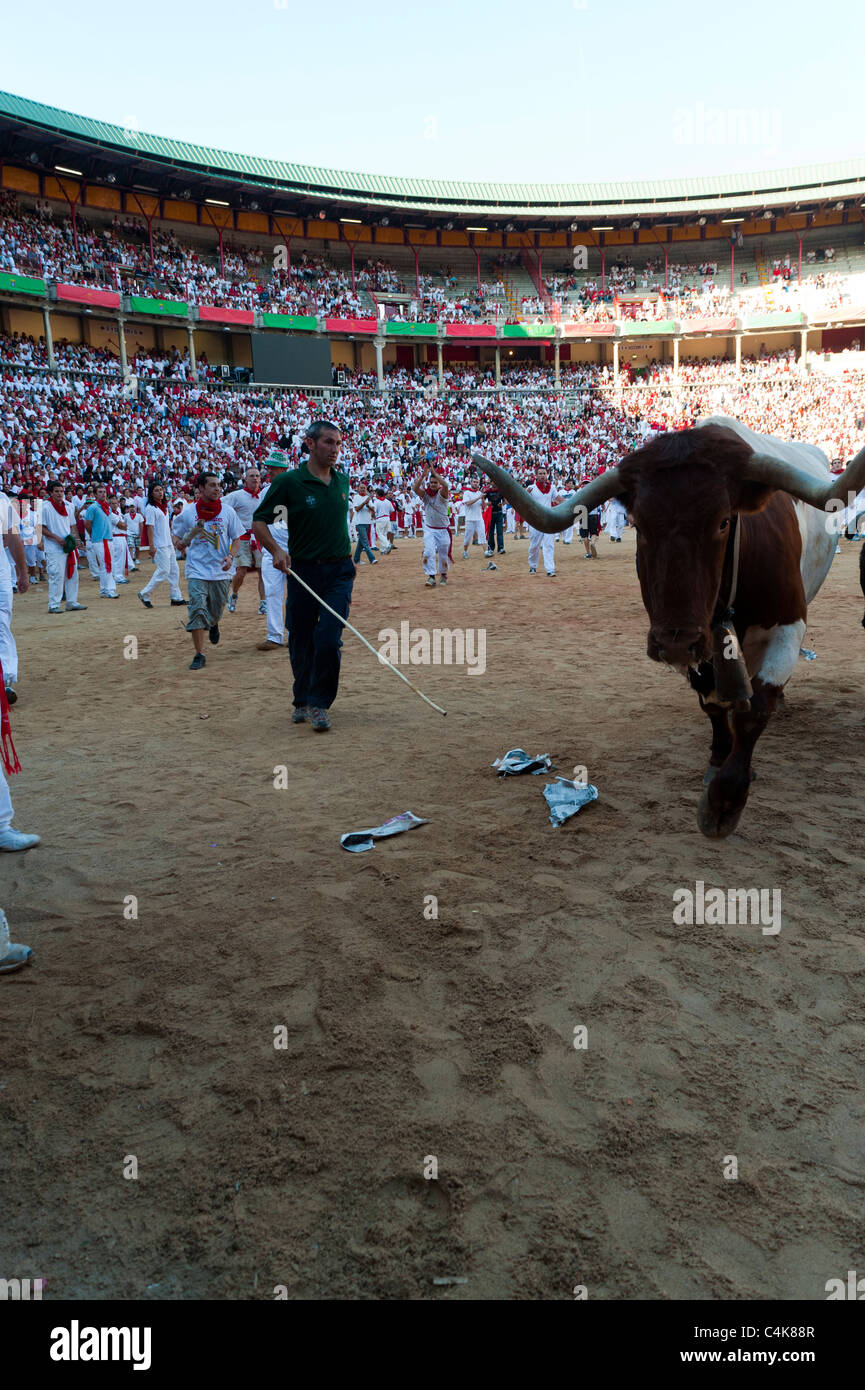 Vertical bullfight hi-res stock photography and images - Alamy