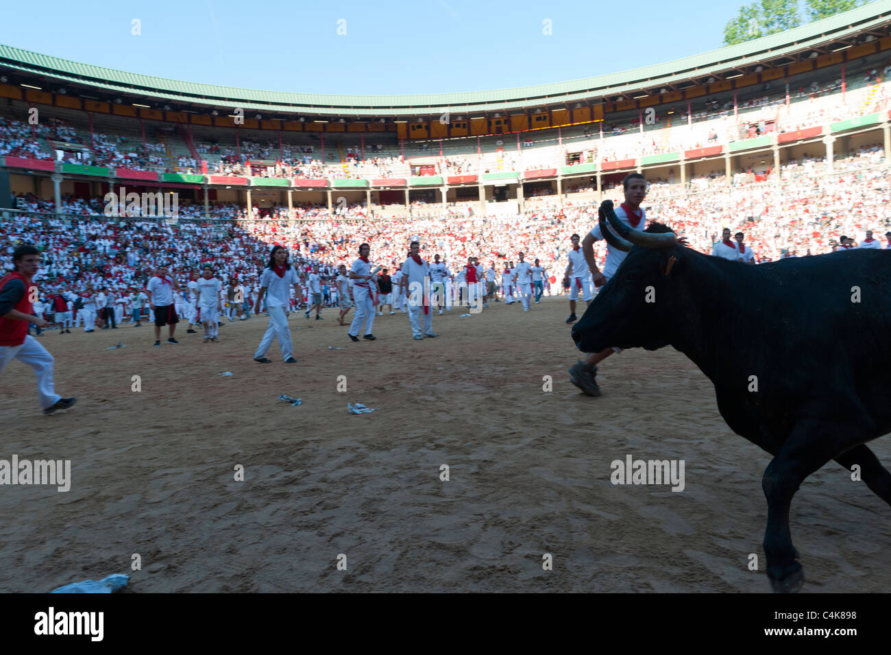 Amateur bullfight with young bulls, San Fermín street-partying ...