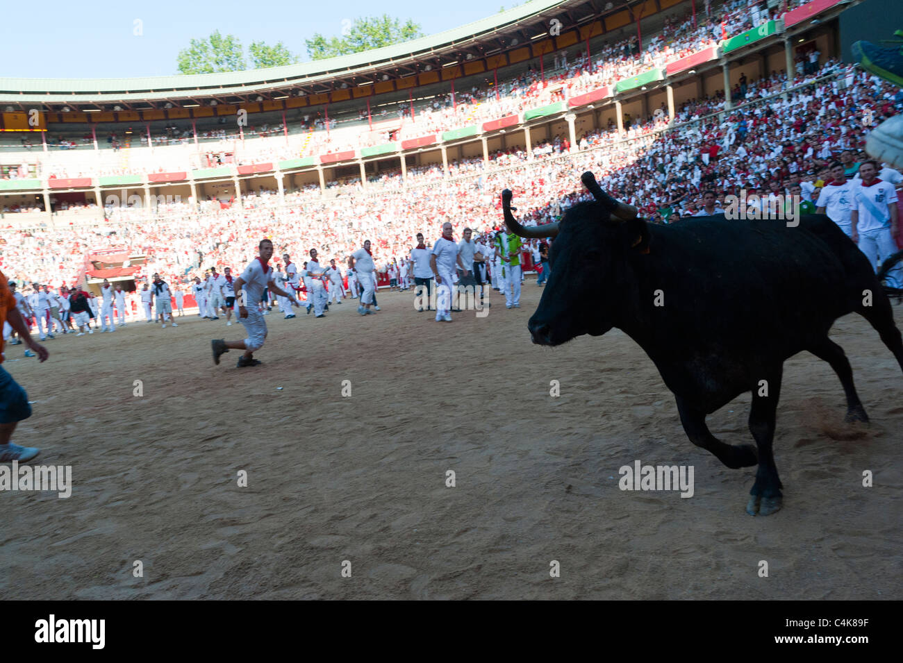 Amateur bullfight with young bulls, San Fermín street-partying ...