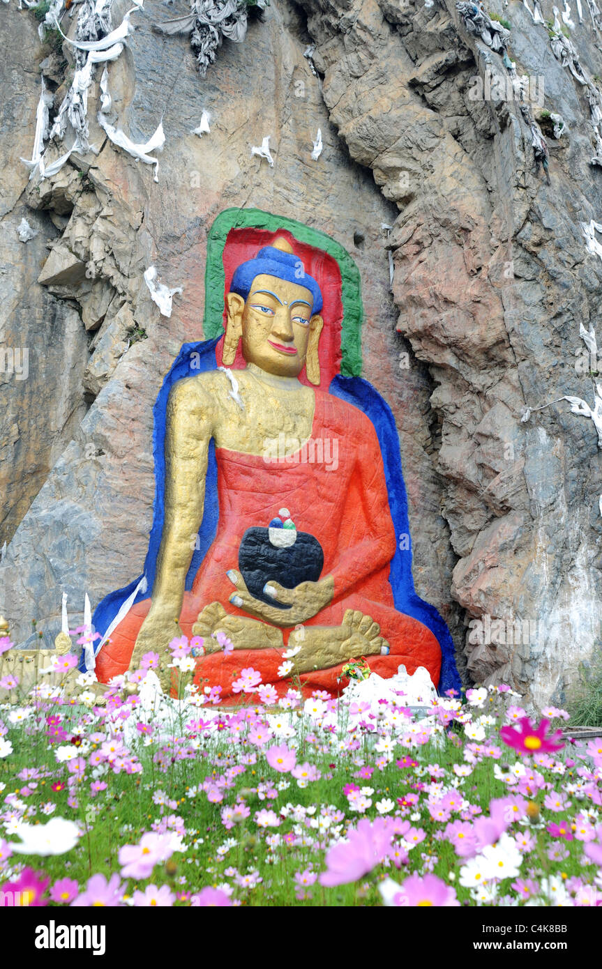 Huge rock carved sculpture of Buddha in Lhasa, Tibet Stock Photo - Alamy