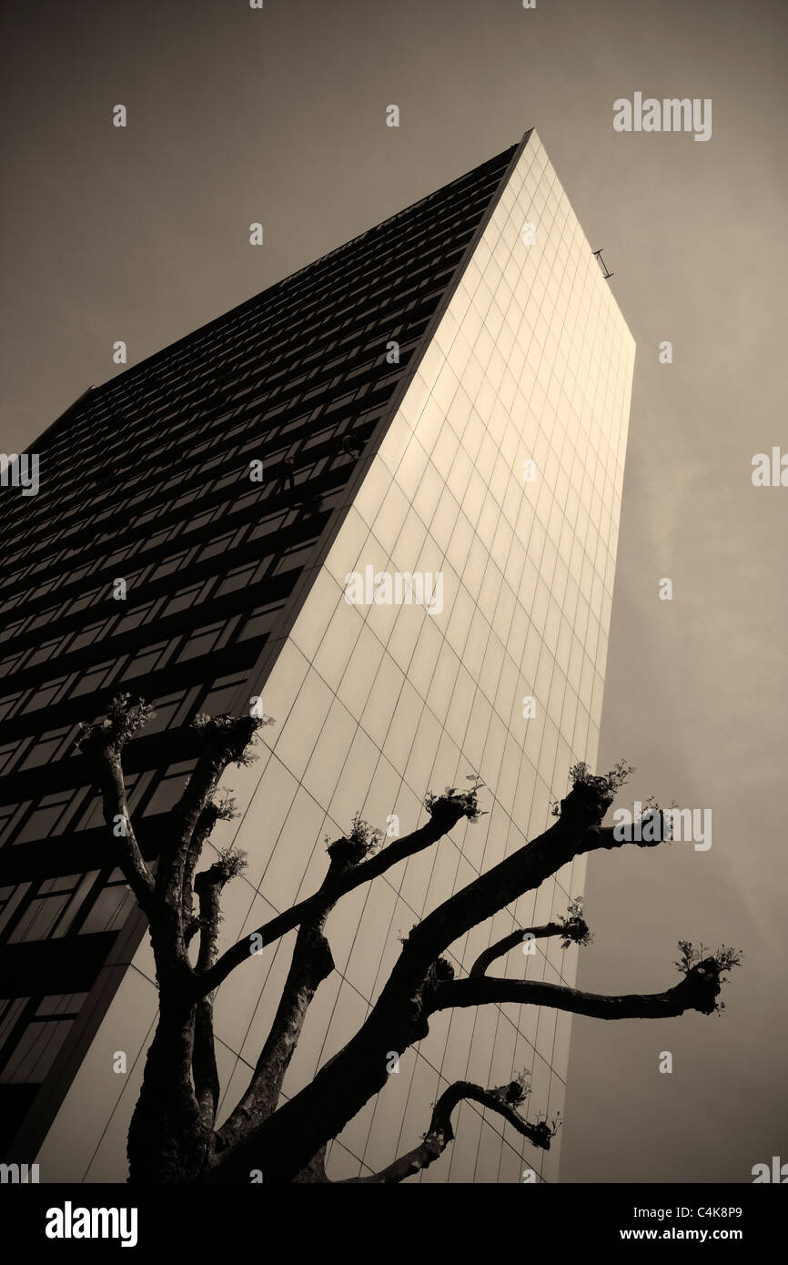 Portland tower with tree in Manchester UK Stock Photo - Alamy