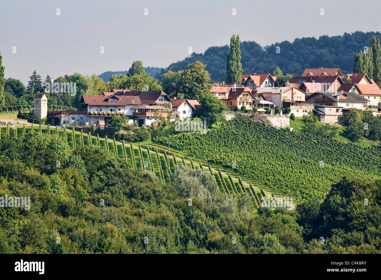 A winery in the hills of Styria, Austria Stock Photo - Alamy