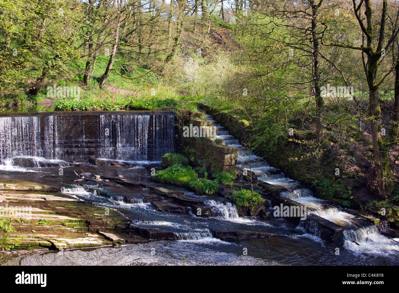 Weir and "fish ladder" at Yarrow Valley country park in Chorley Stock ...