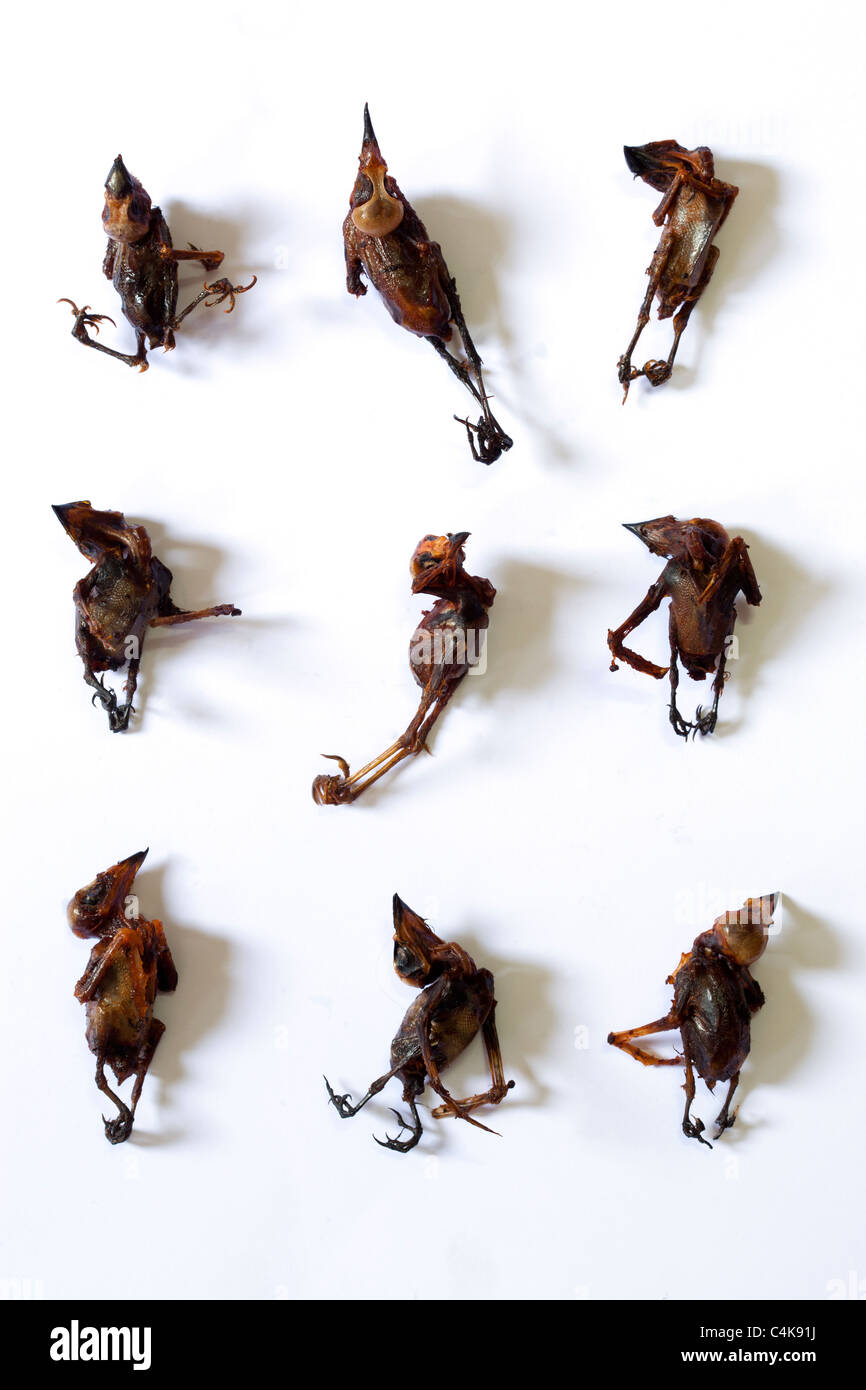 Cooked birds hi-res stock photography and images - Alamy
