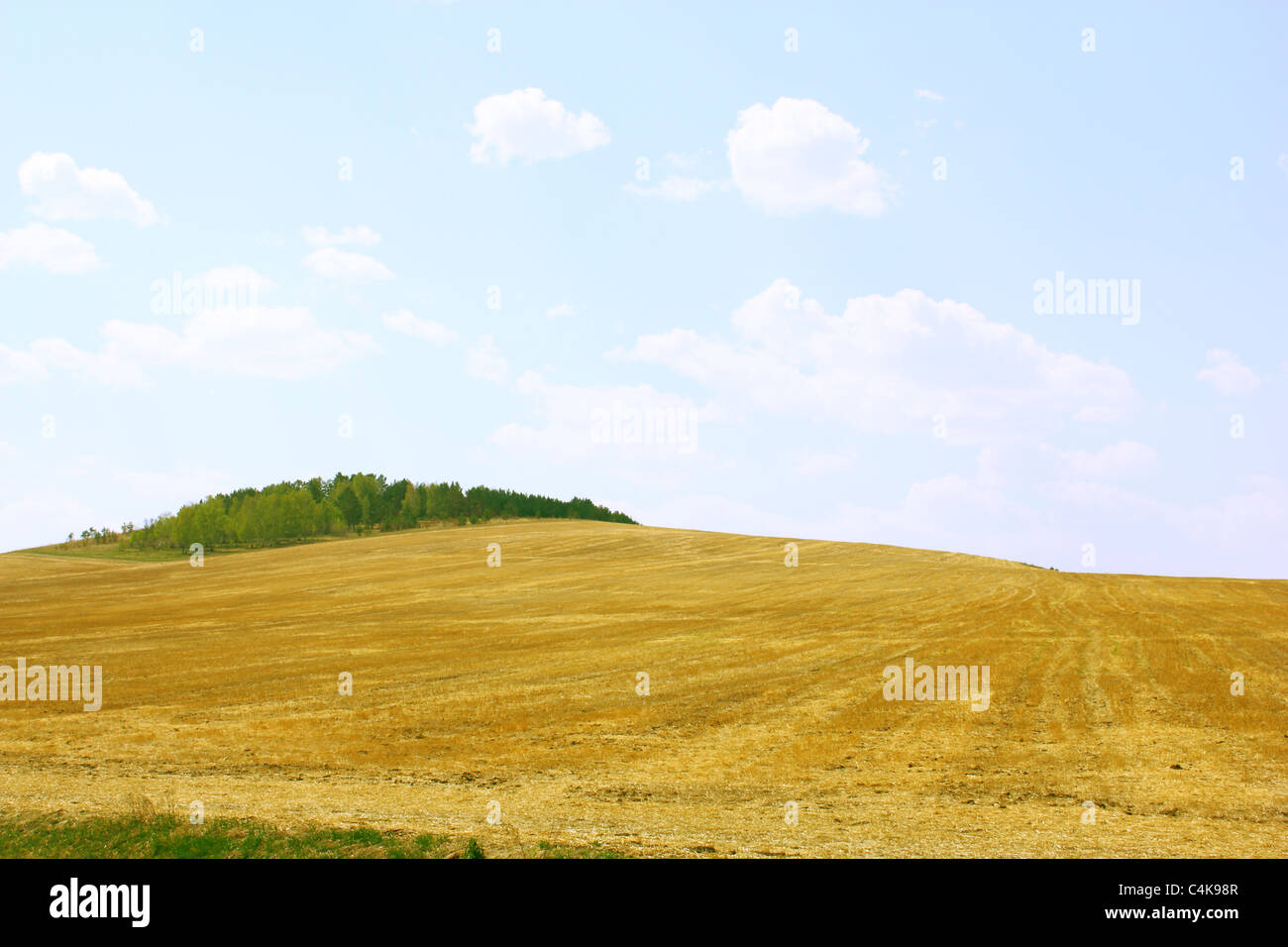 Autumn landscape. Yellow field and blue sky Stock Photo - Alamy