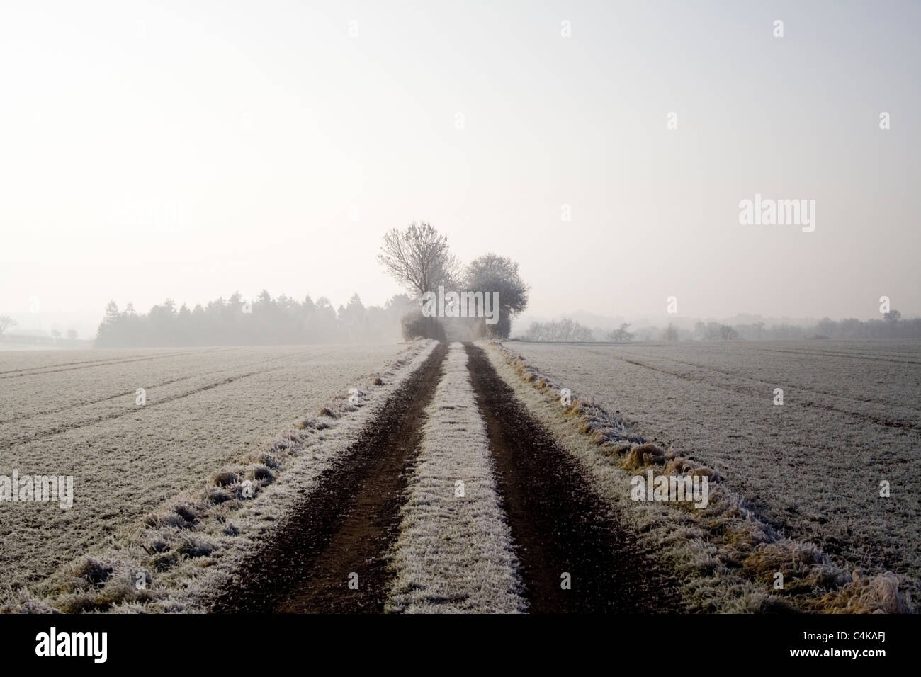 Rutted Track High Resolution Stock Photography and Images - Alamy
