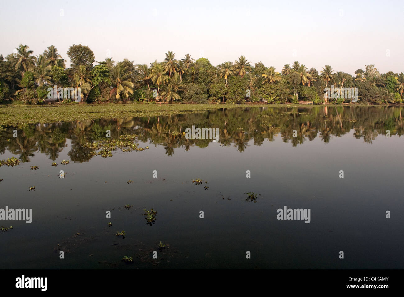 backwaters of Alleppey (Alappuzha), Kerala, India Stock Photo - Alamy