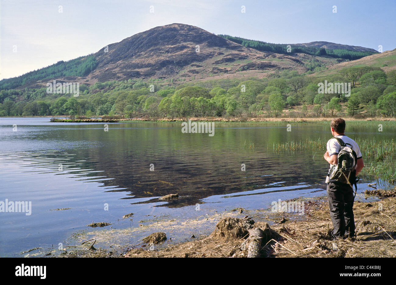 Glentrool scotland hi-res stock photography and images - Alamy