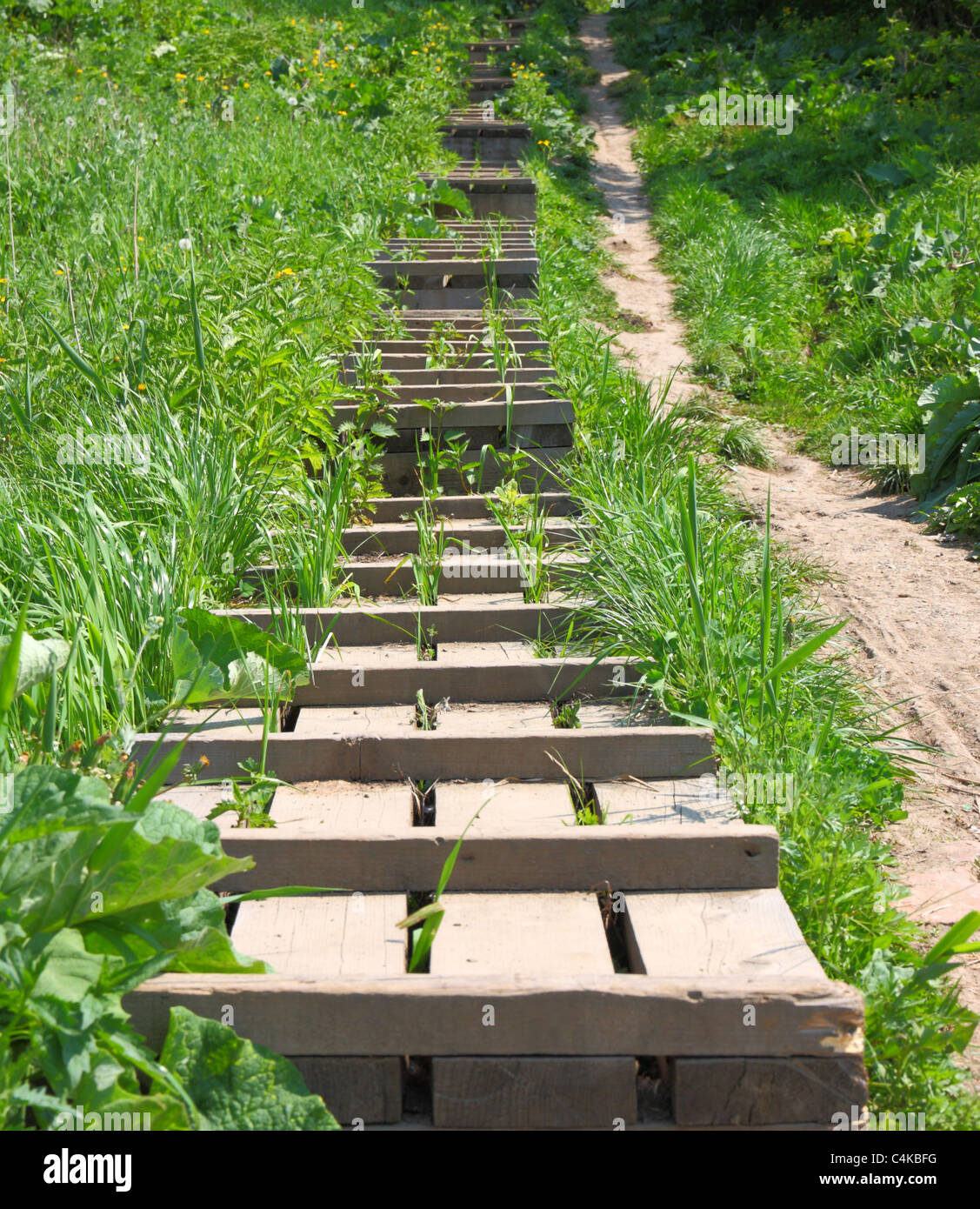 The wooden ladder is located a hill slope Stock Photo - Alamy