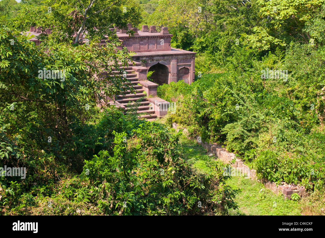Ruins ranthambore fort rajasthan india hi-res stock photography and ...