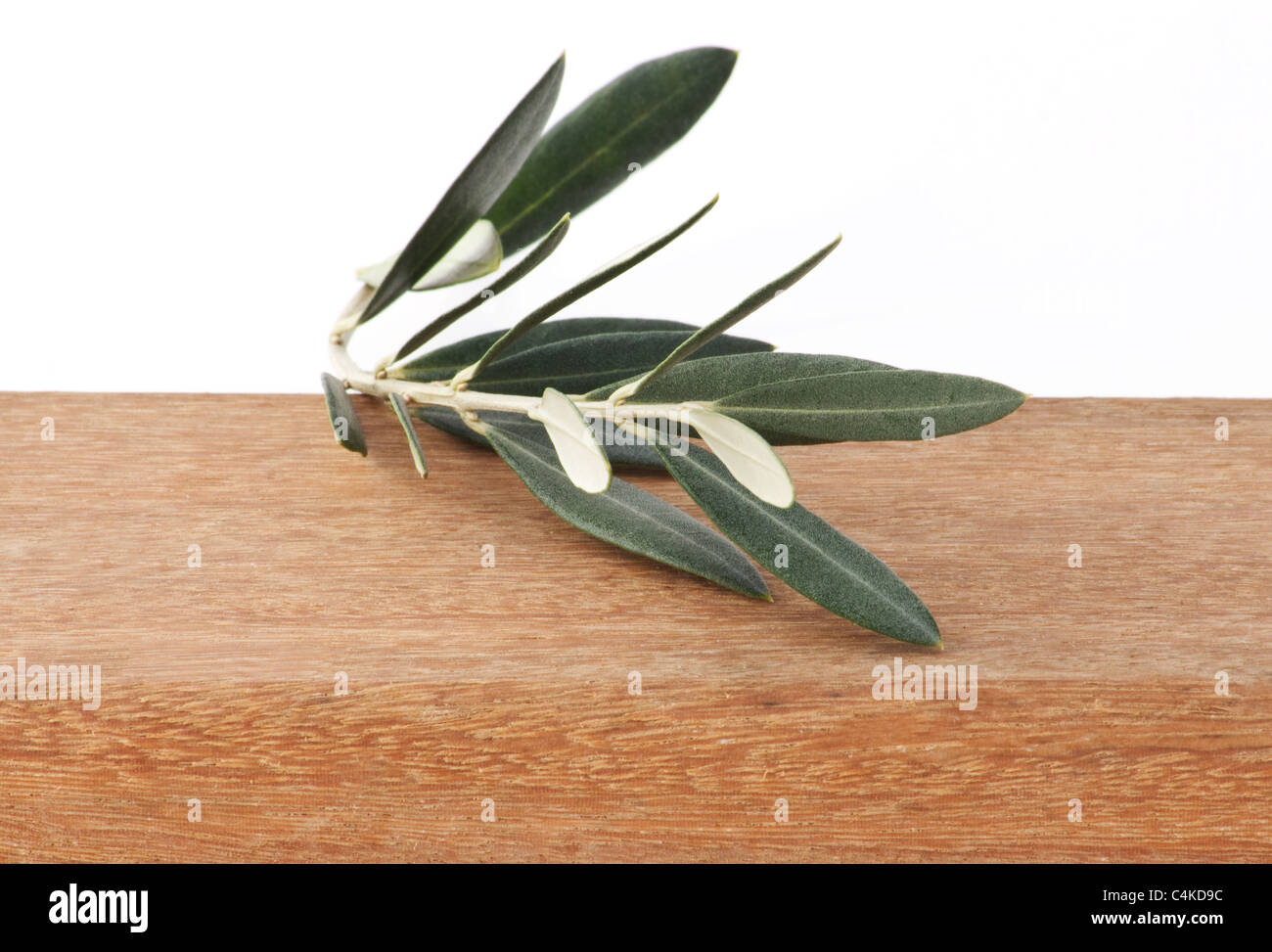 Olive sprig on wooden board on white background Stock Photo - Alamy