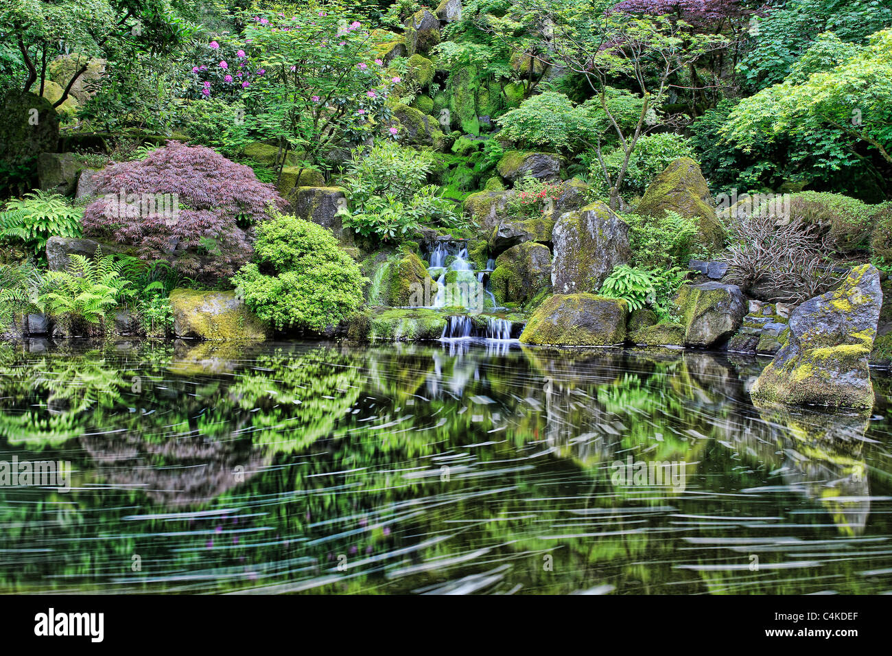 Portland japanese garden hi-res stock photography and images - Alamy
