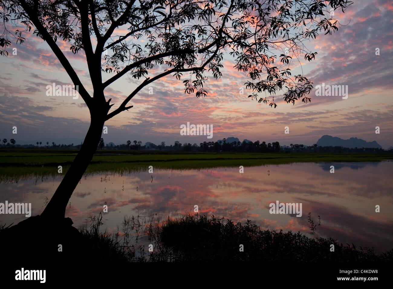tropical river in Myanmar Stock Photo - Alamy