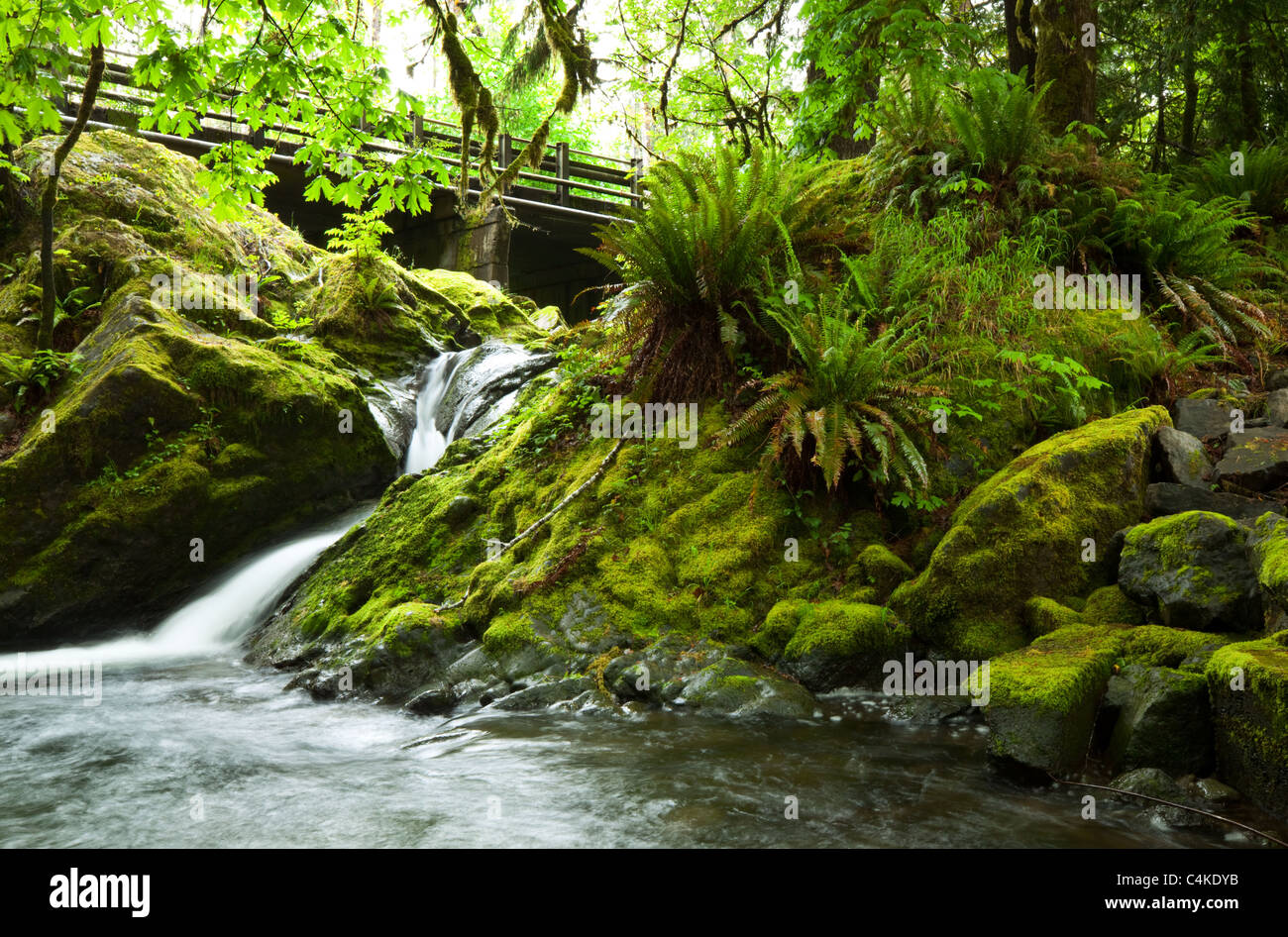 Water cascade hi-res stock photography and images - Alamy