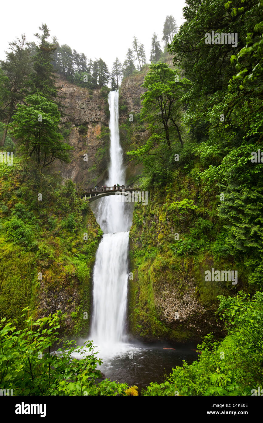 Multnomah falls in oregon hi-res stock photography and images - Alamy