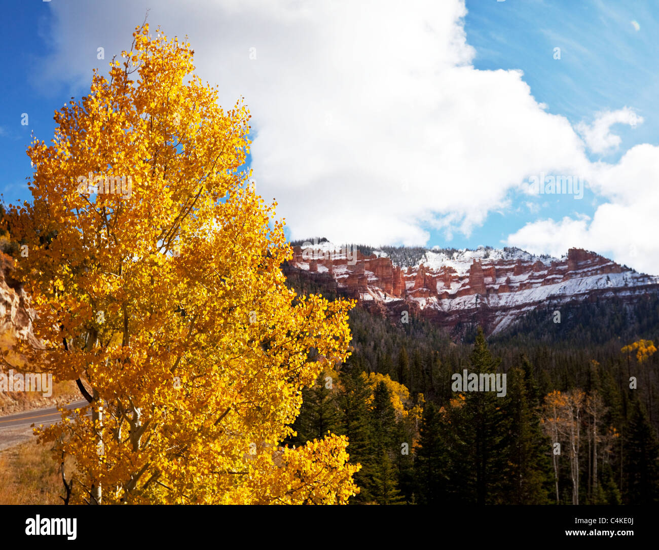 Cedar breaks national monument road hi-res stock photography and images ...