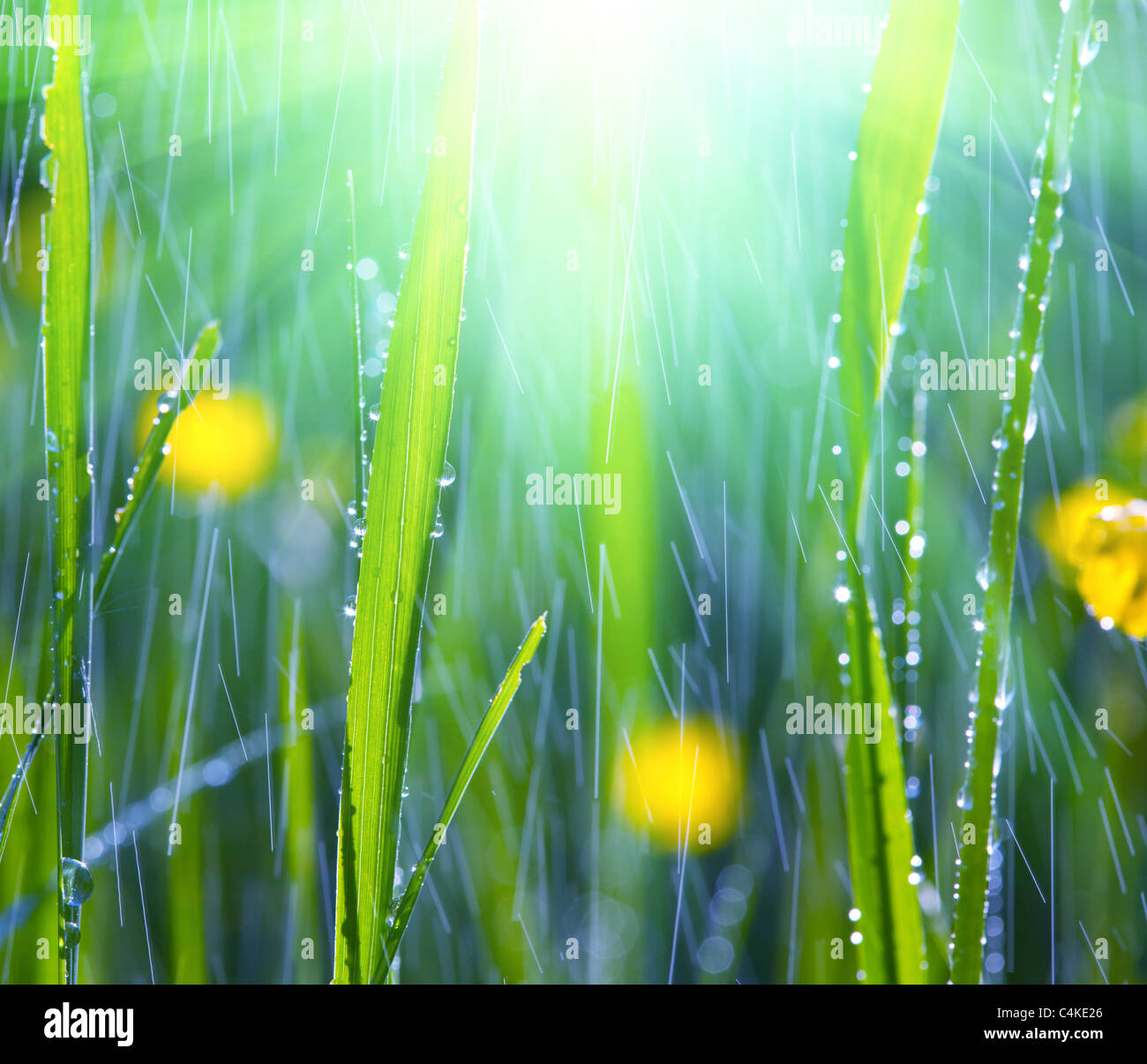 rain in garden Stock Photo - Alamy