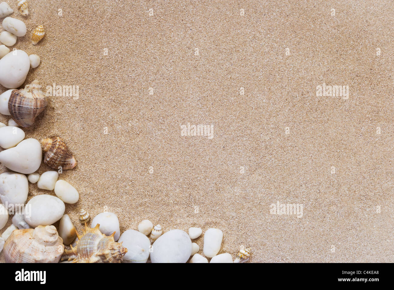 sea shells and stones with sand as background Stock Photo - Alamy