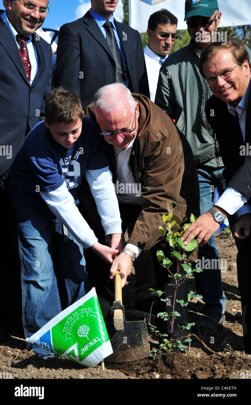 Reuven "Rubi" Rivlin (born 9 September 1939) The speaker of the Knesset plants a tree Stock ...
