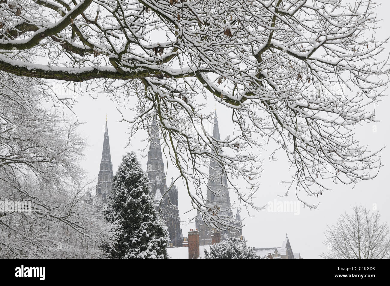 Lichfield Cathedral three spires seen through trees during a winter ...