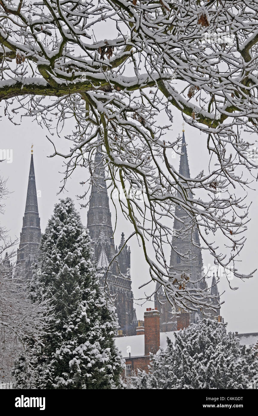 Lichfield Cathedral three spires seen through trees during a winter ...