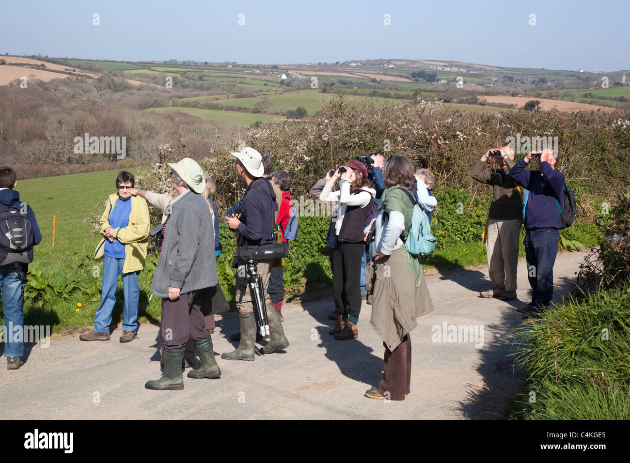 Bird watching group; Cornwall Stock Photo - Alamy