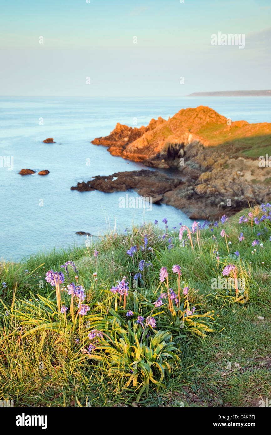 Cudden Point; Near Prussia Cove; Mount's Bay; Cornwall Stock Photo - Alamy