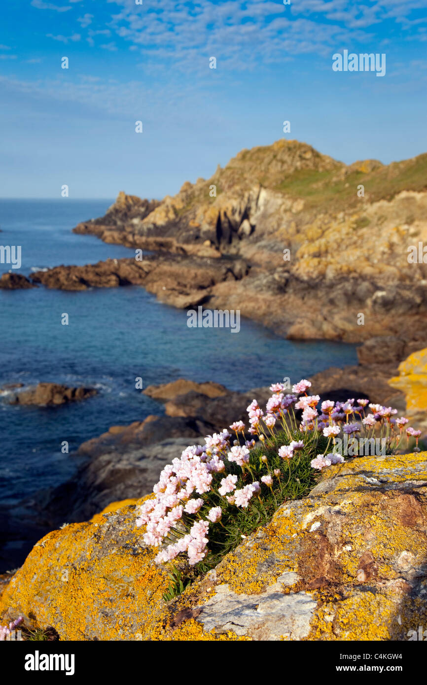 Cudden Point Cornwall High Resolution Stock Photography and Images - Alamy