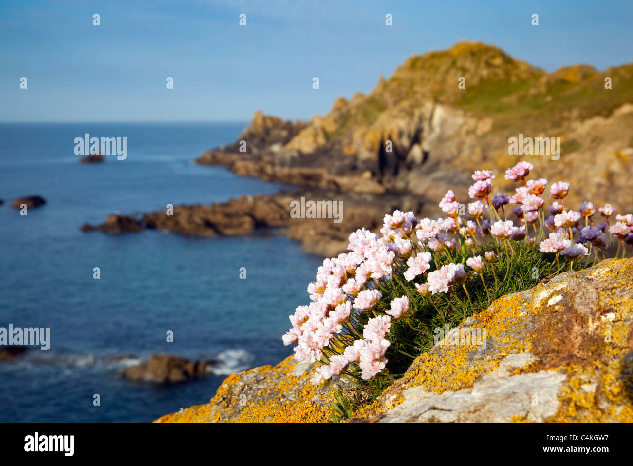 Cudden Point; Near Prussia Cove; Mount's Bay; Cornwall Stock Photo - Alamy