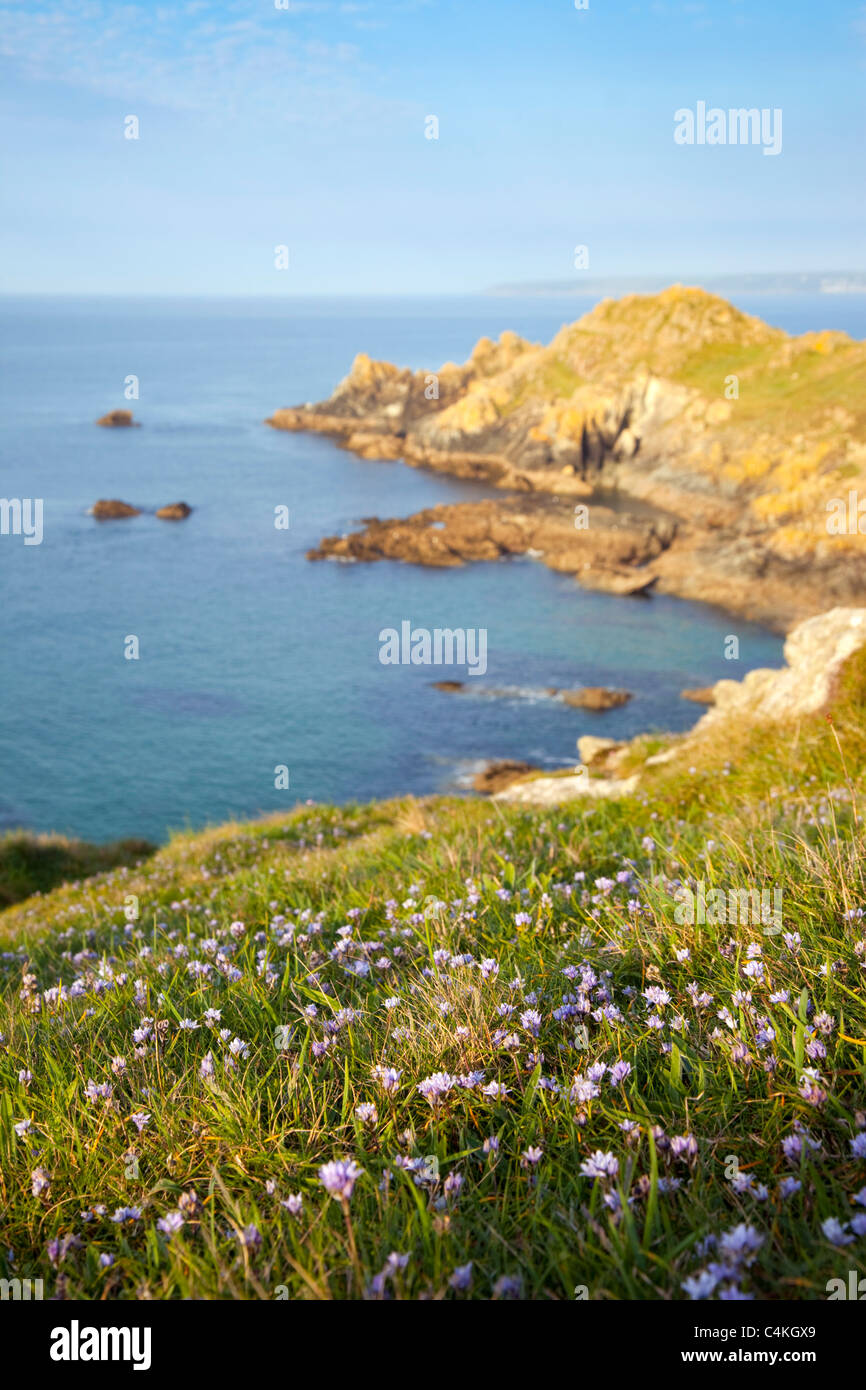 Cudden Point; Near Prussia Cove; Mount's Bay; Cornwall Stock Photo - Alamy
