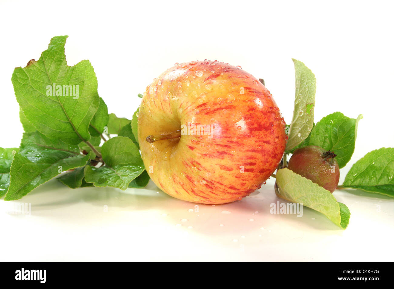 Apple and twigs with leaves on white background Stock Photo - Alamy