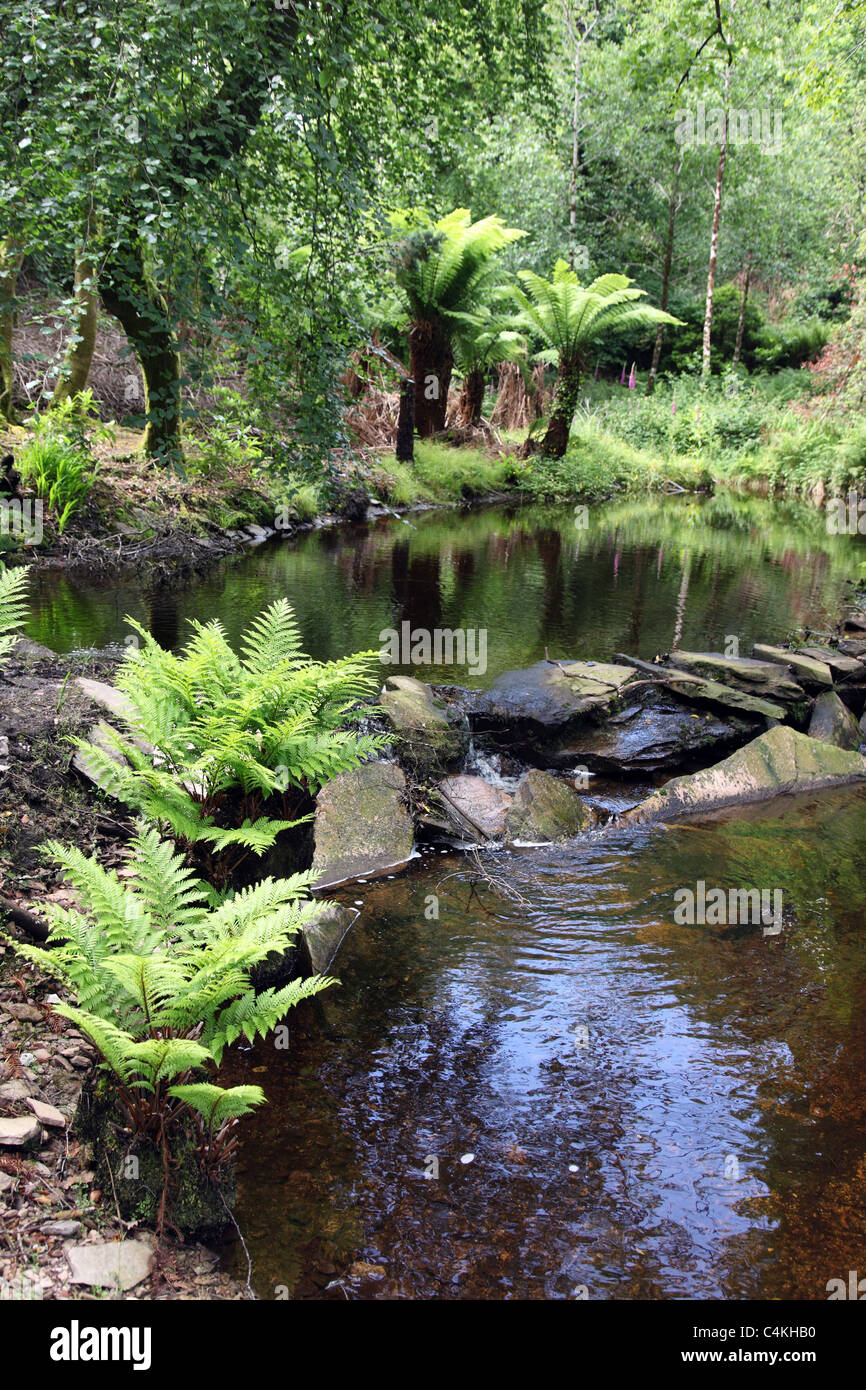 Kells Bay Gardens, Kells Bay, Ring of Kerry, Co. Kerry Ireland Stock ...
